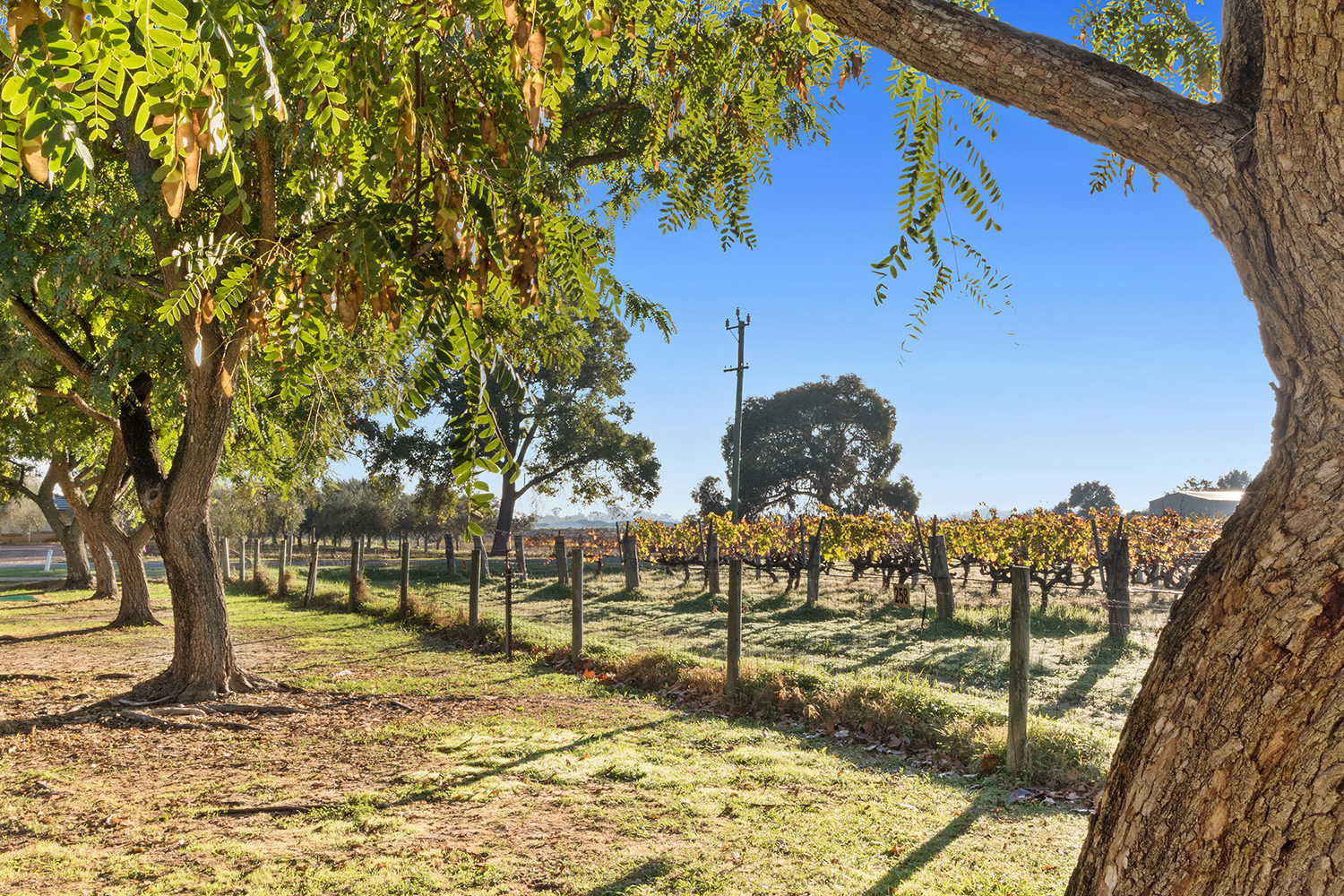 Discovery Parks Swan Valley, Western Australia | G'Day Parks