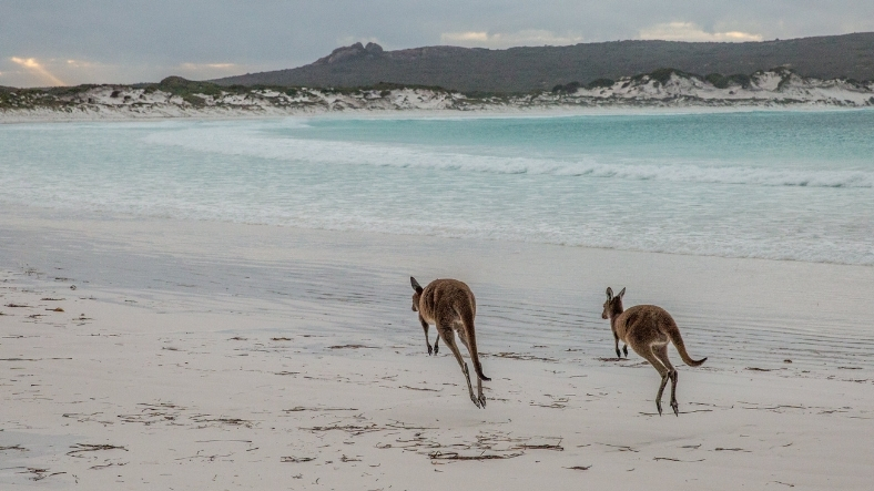 Say G'day to more of Australia with G'day Parks