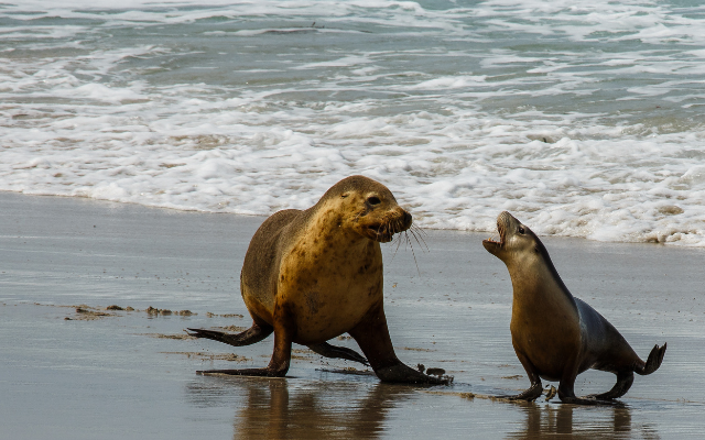 7 Aussie Holidays worth locking in for Summer